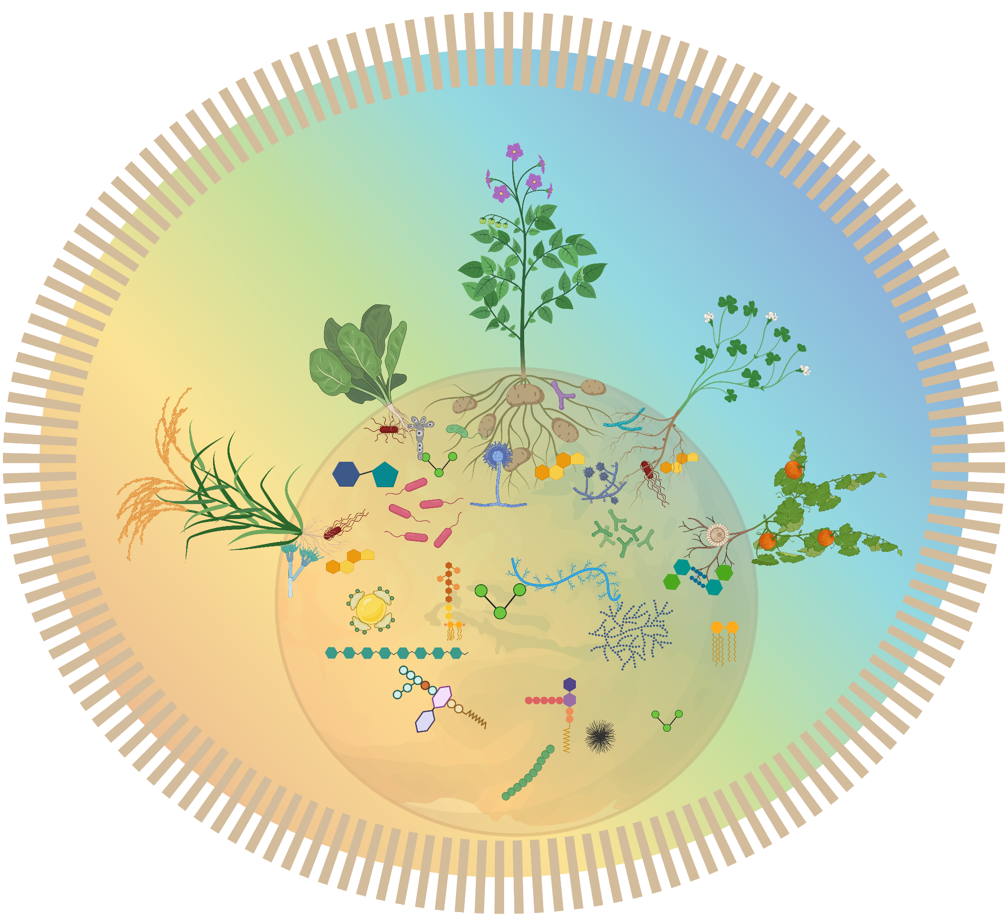 Evolution - Metabolism Lab