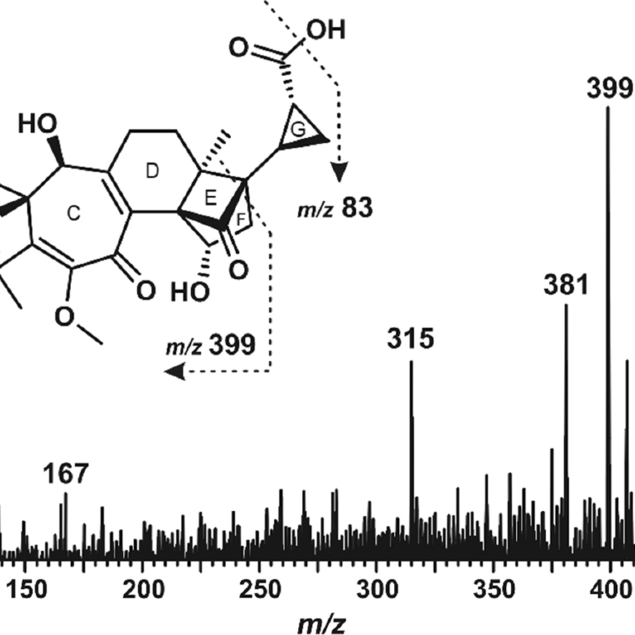 Lemeng Dong - Metabolism Lab